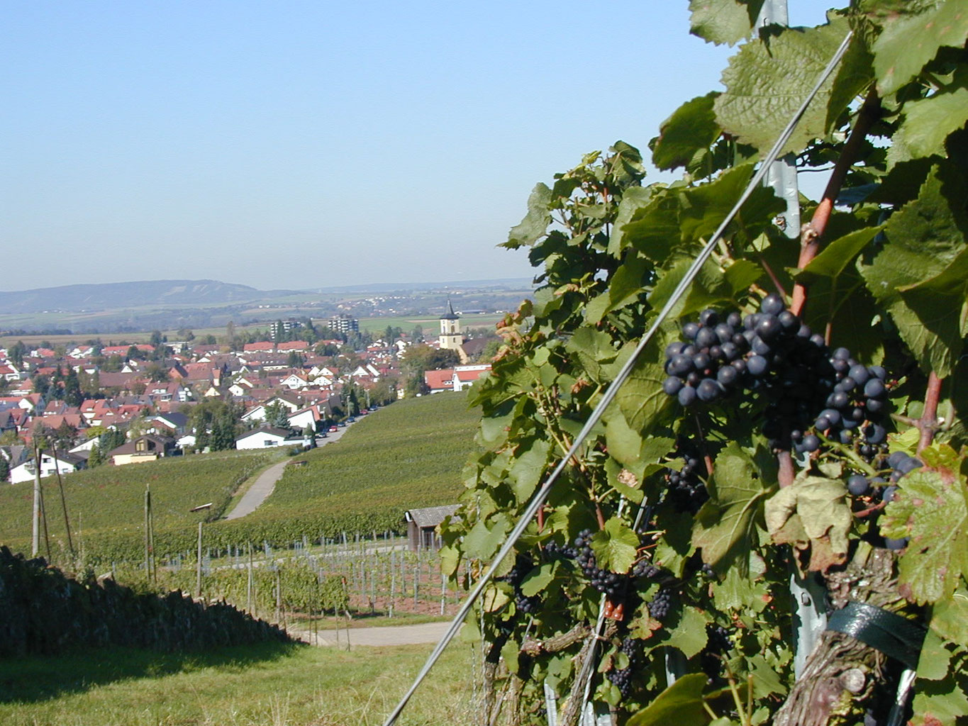 Interessantes in und um Flein - Gästehof Eberle - Flein