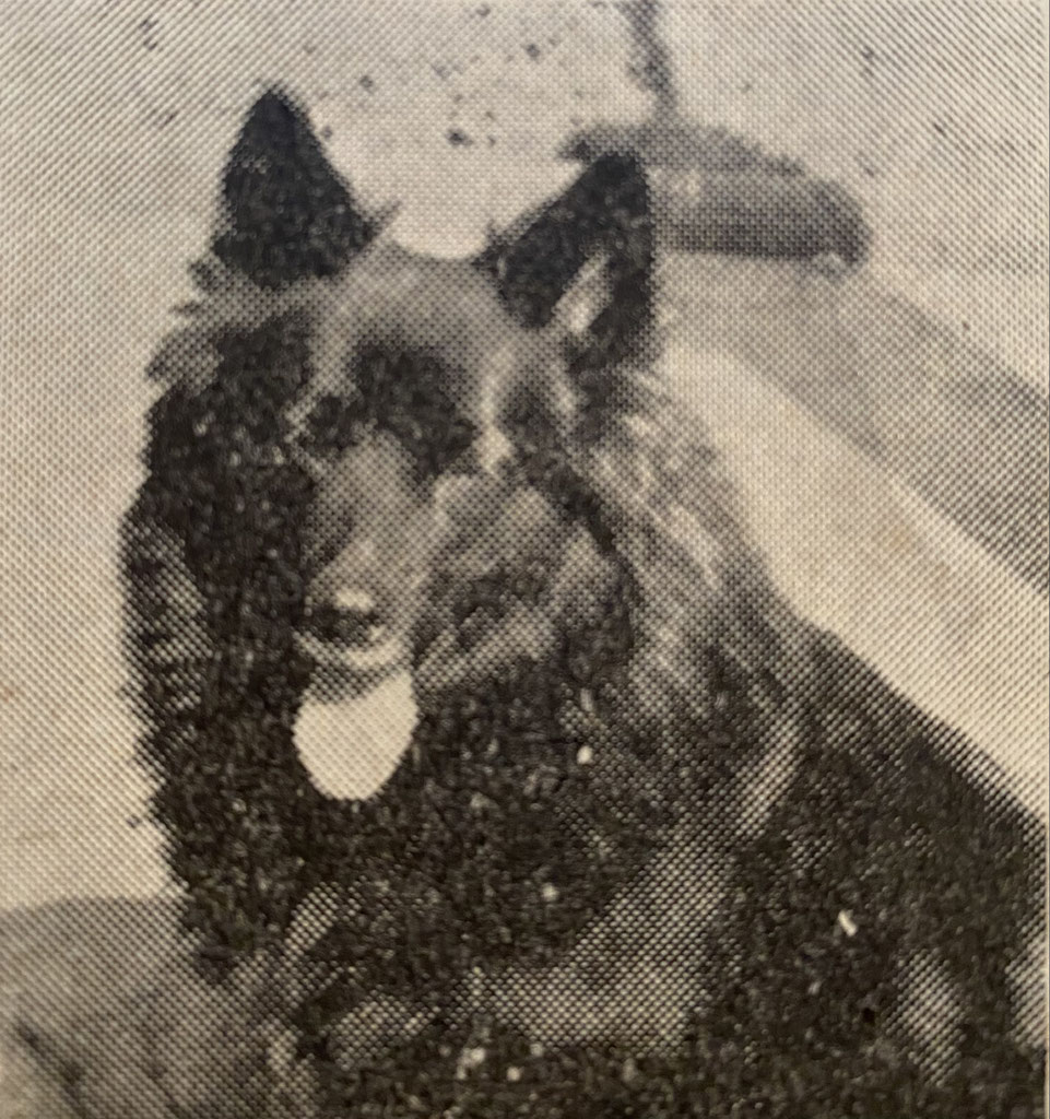 Rescue from the murderer - Preußenspitz