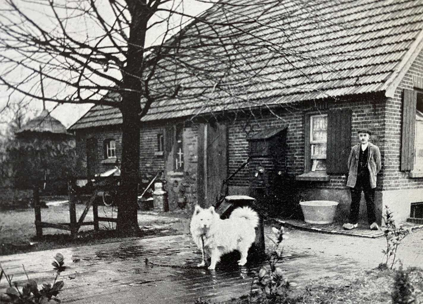 The Giant Spitz - Preußenspitz