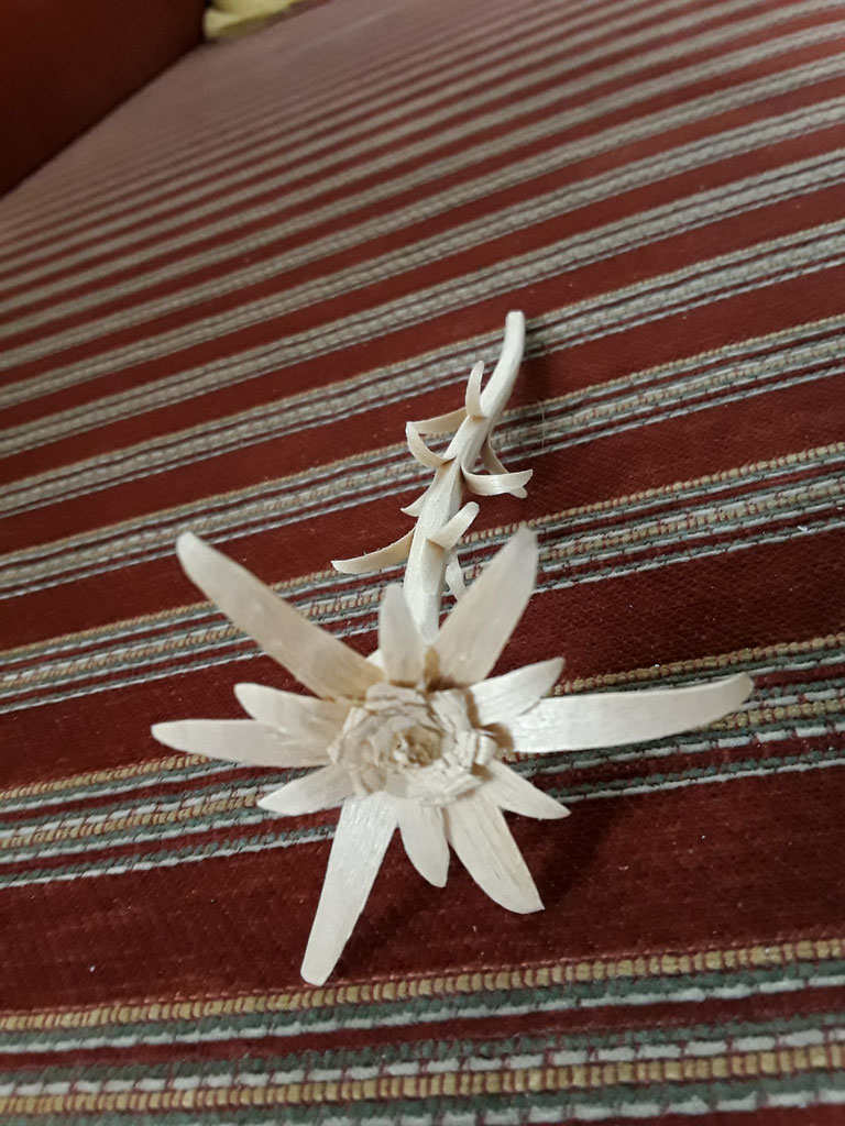 Edelweiss - für den Hut - Edelweiss