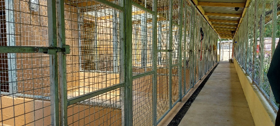 Our Kennels - Riverside Boarding