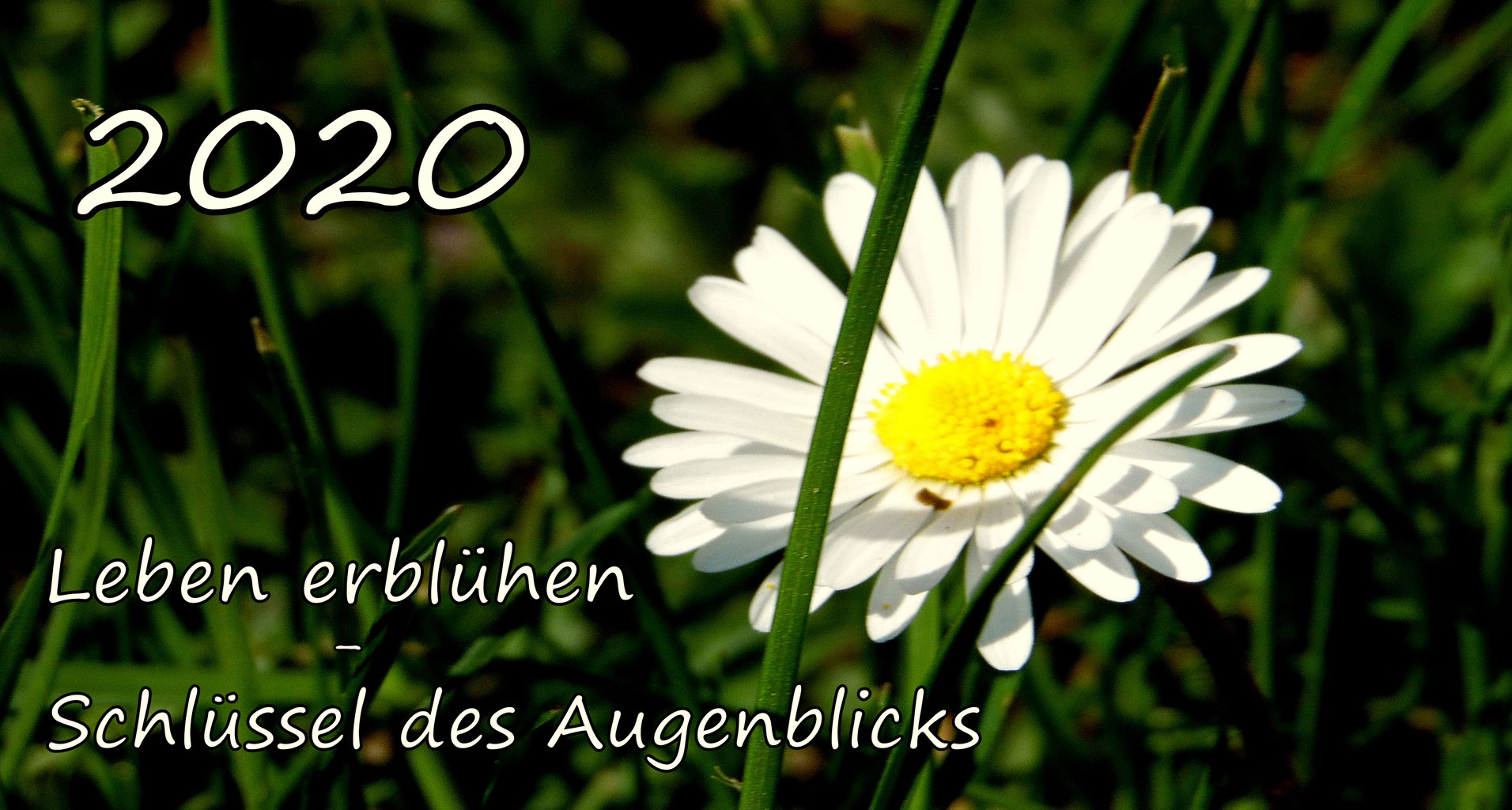 Bücher - Emma Wolff - Startseite