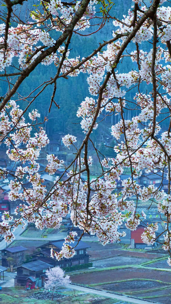 Falegname 349 3028 138 - Benvenuti su faleg!