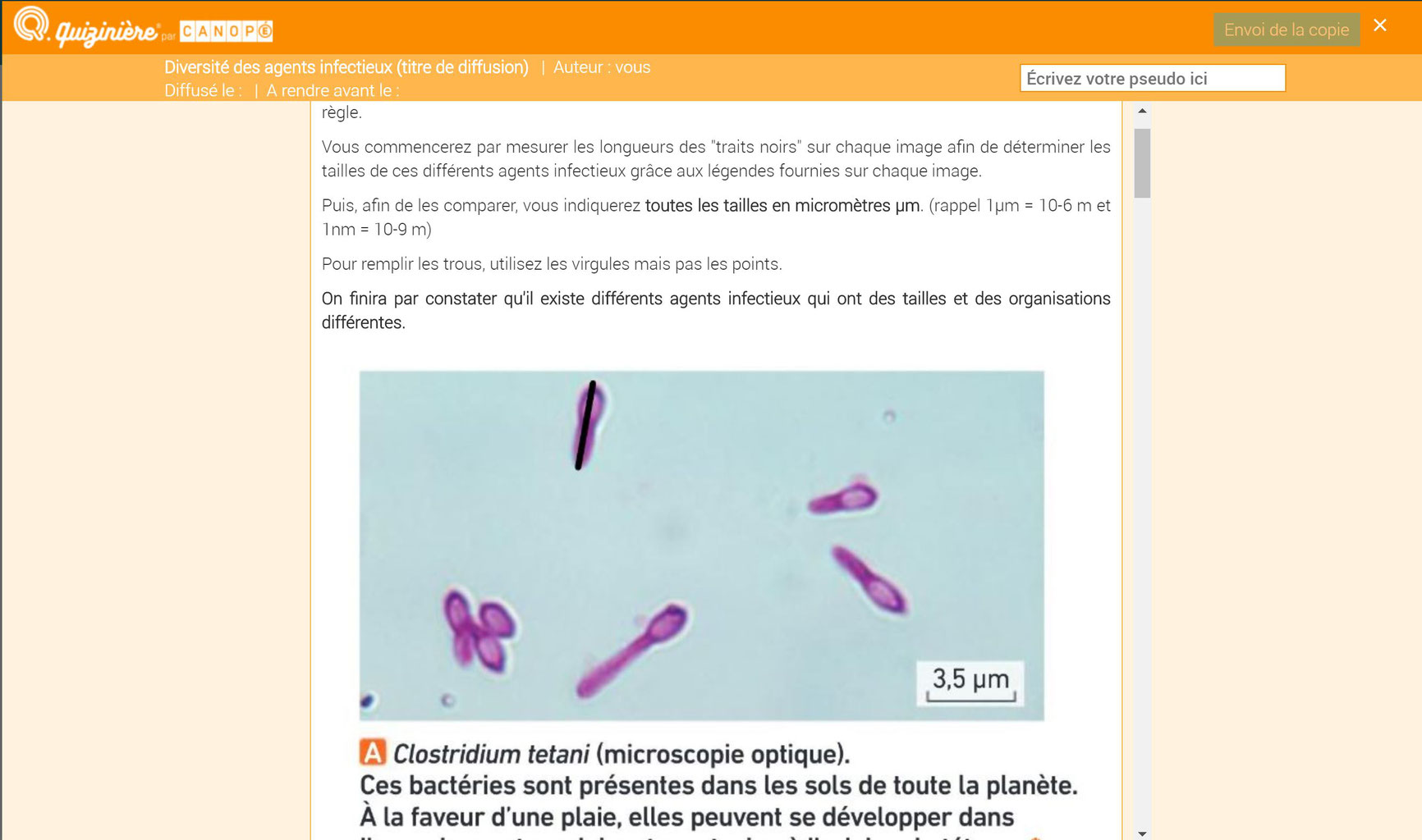 Chapitre 2 : Agents pathogènes et maladies infectieuses - SVT cours et TP de Mme Hodot