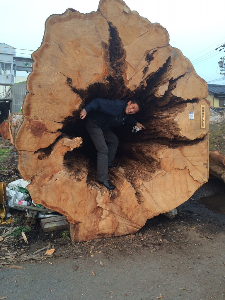 The biggest market for Log wood and Solid wood board in Japan - ITAKURA ...