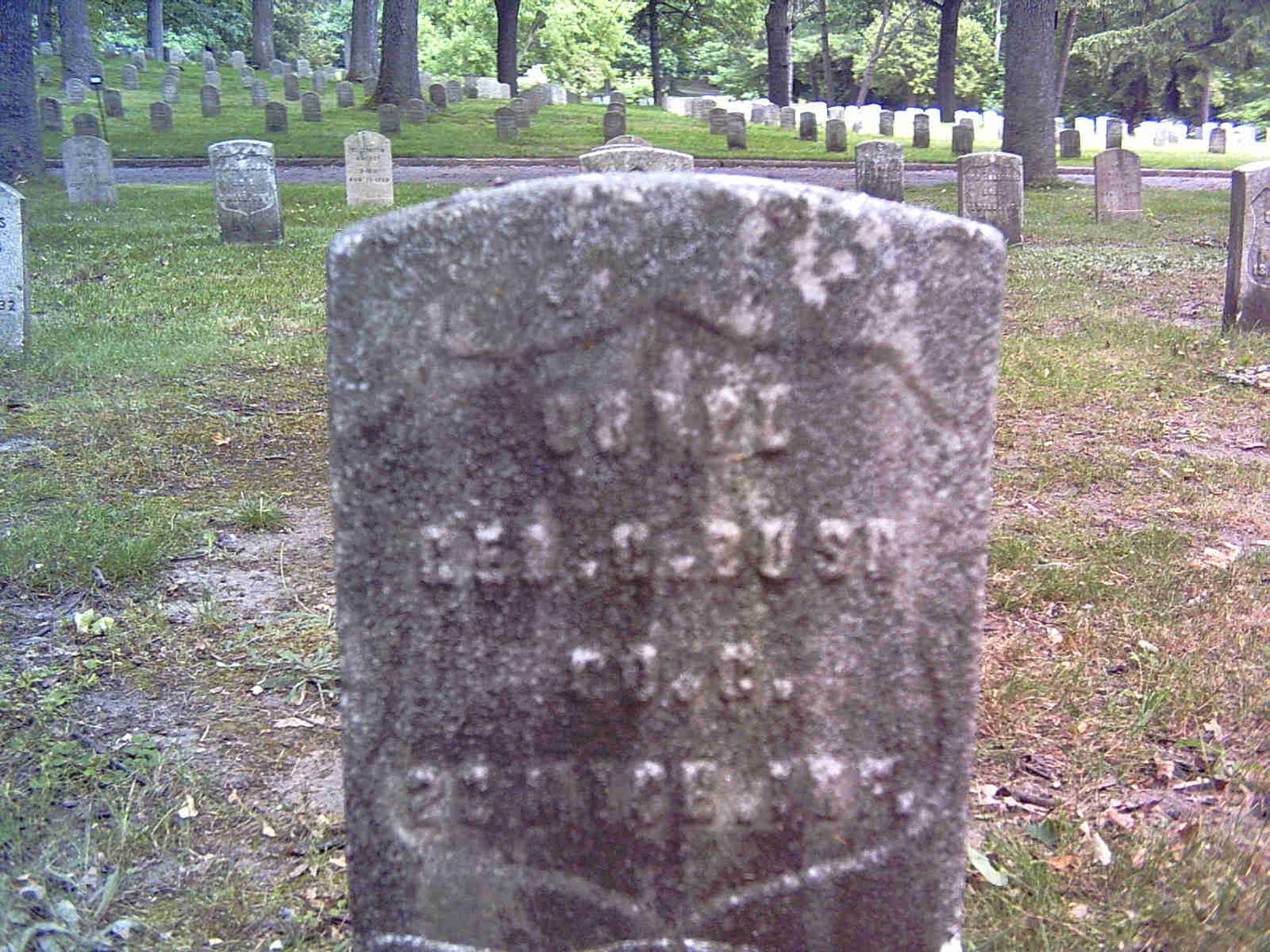 George G Bush - evagray2