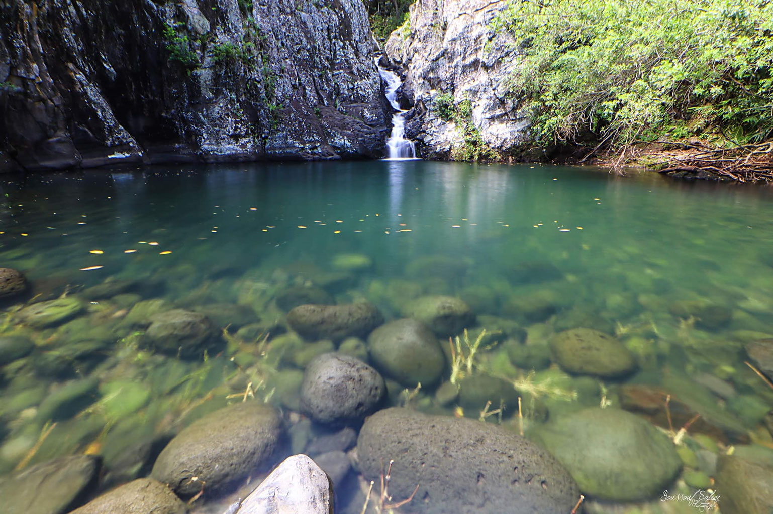 ACTIVITES - Location la Liane de Jade 974