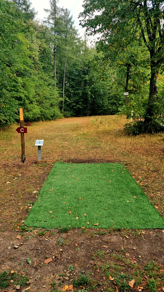 Die besten Parcours in Hessen - Discgolf Germany
