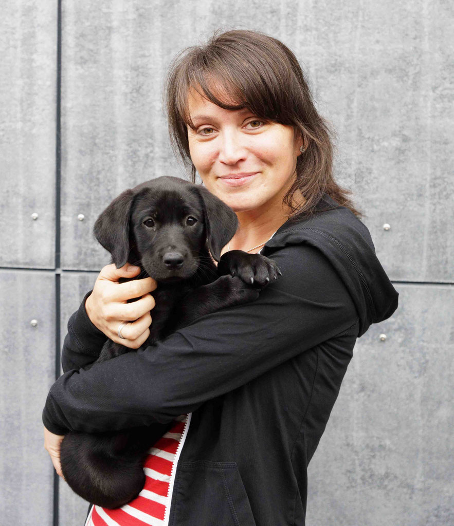 Clockwork Dawn - Dawn - Clockwork Labradors