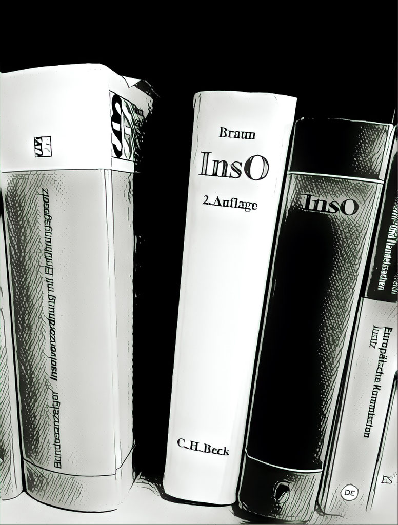 Flucht in das Insolvenzgeheimnis - § 97 Abs. 1 Satz 3 InsO - Benjamin Lanz