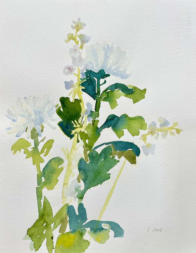 COLLECTIONS - carriecallart