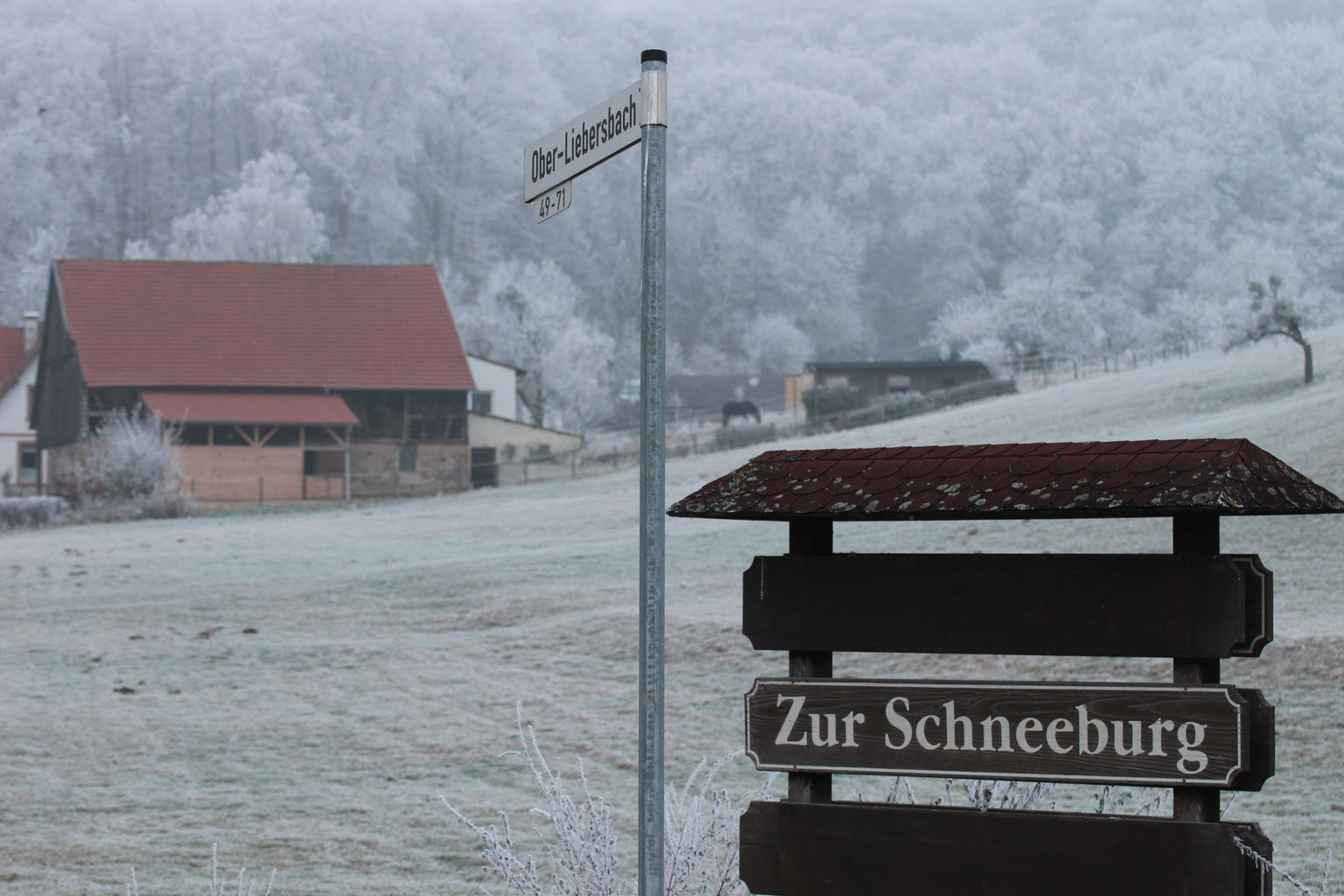 Aktuell - Schneeburg