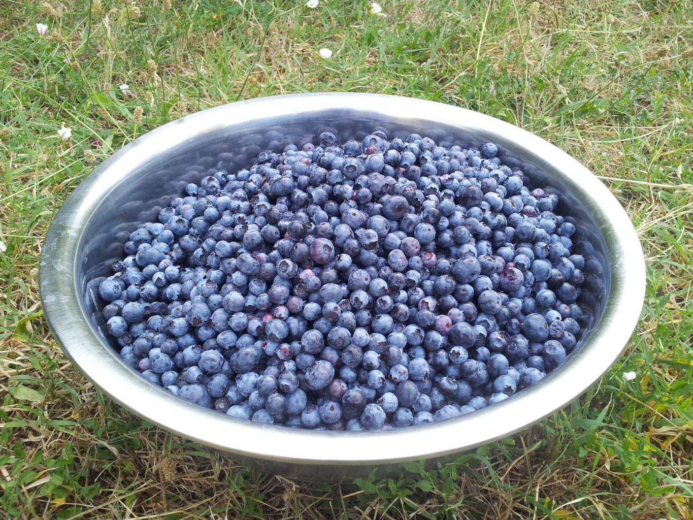 Fruits de mon verger et Fermes Partenaires - Site de cueilletteetpopote