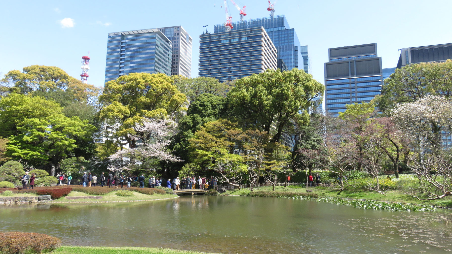 More facilities reopen in Tokyo - Ken Tanaka Tokyo English Tour Guide
