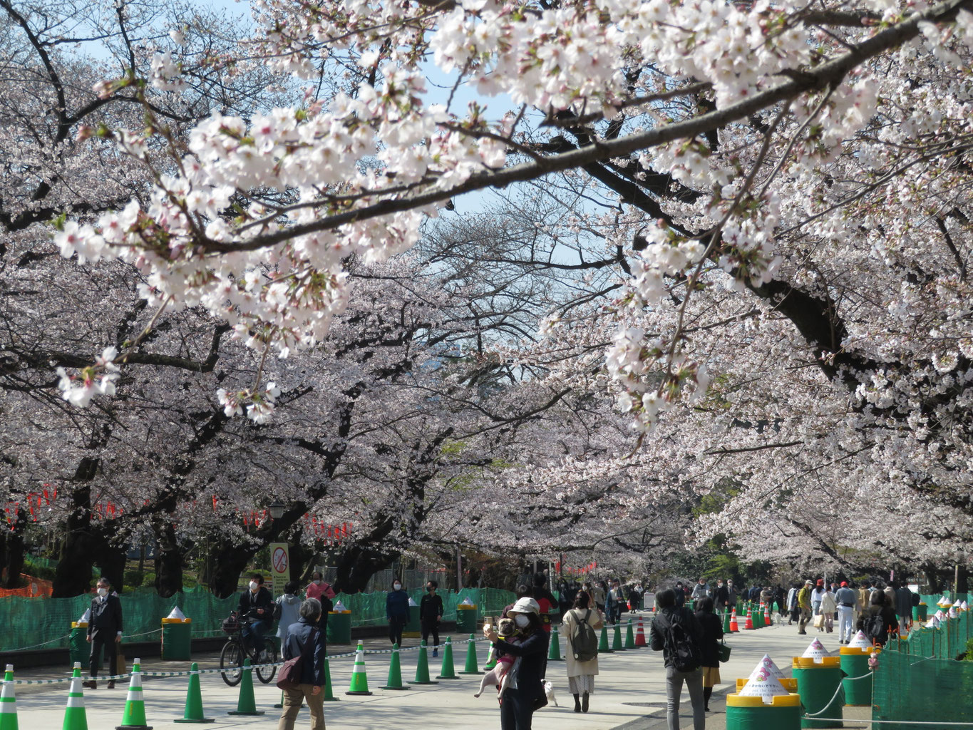 State of emergency ends, Torch relay begins - Ken Tanaka Tokyo English Tour Guide