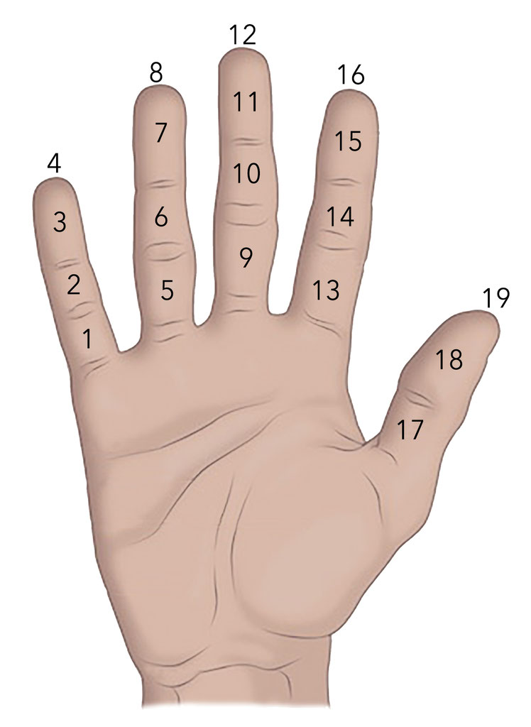 kongvong description