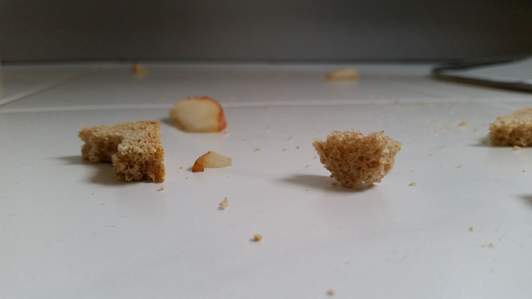 Wenn es los gehen soll... - Erfahrungen, Rezepte und mehr...