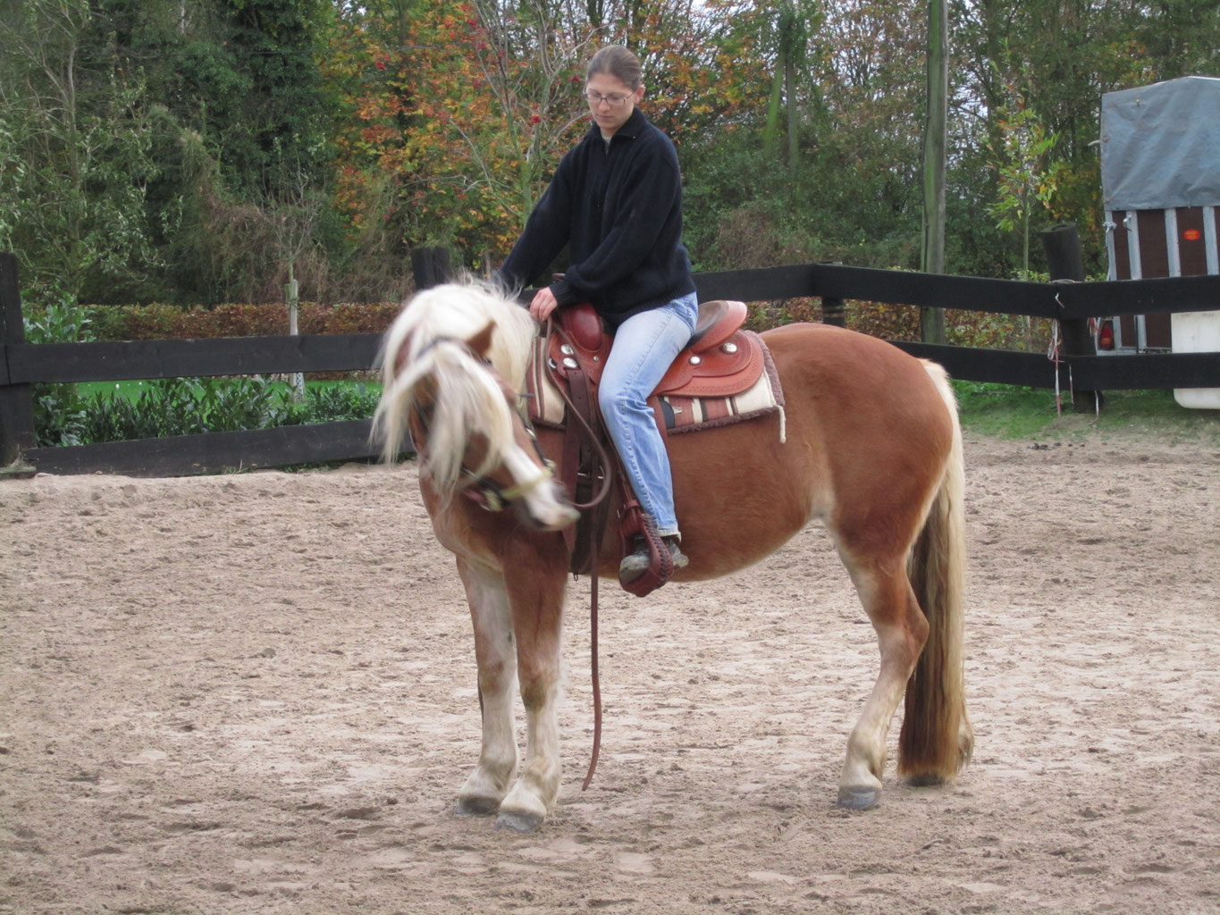 Was ist eigentlich Westernreiten??? - Professionelles Pferde Training