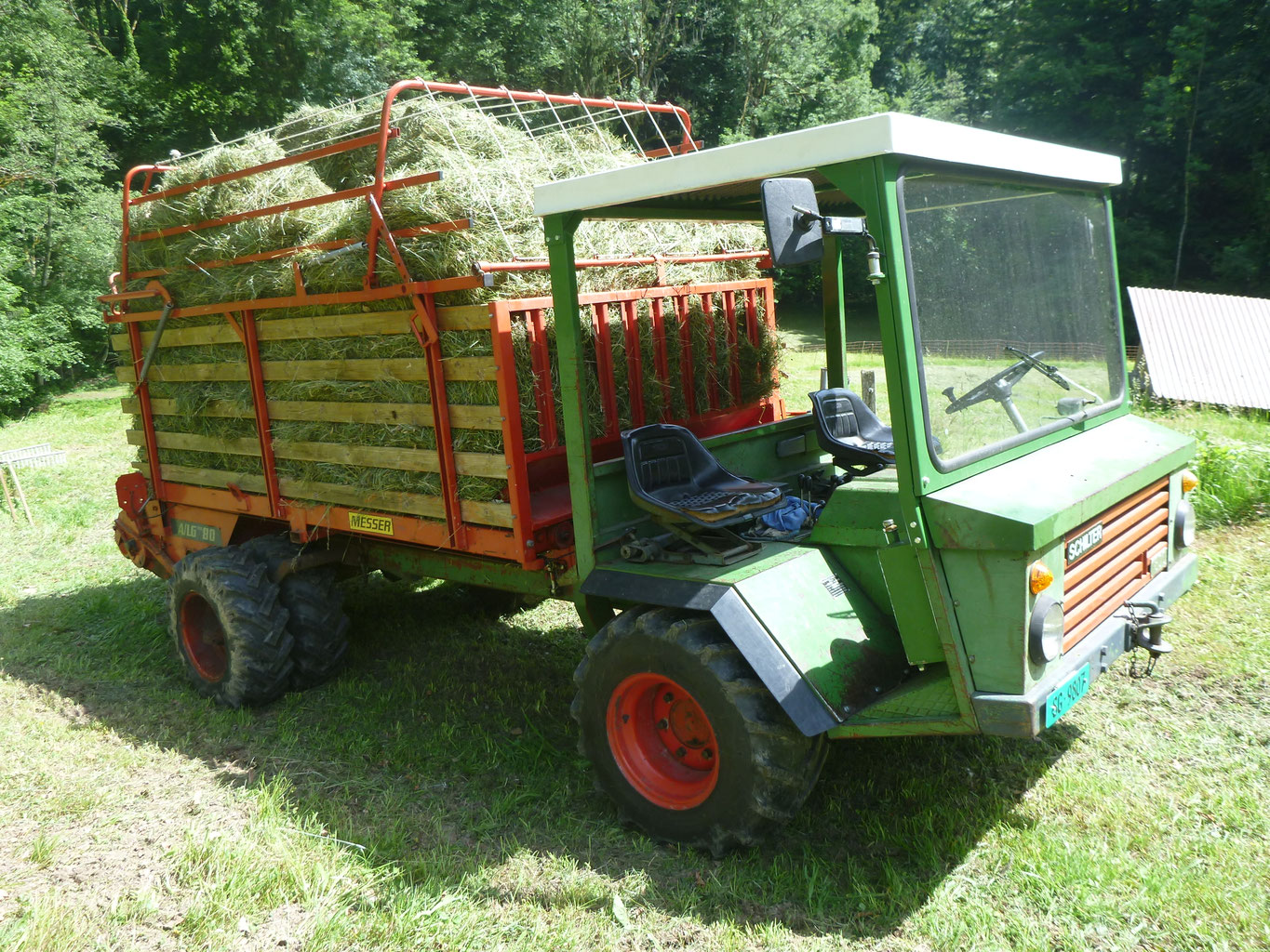 Schiltertypen - Schilterclub Webseite