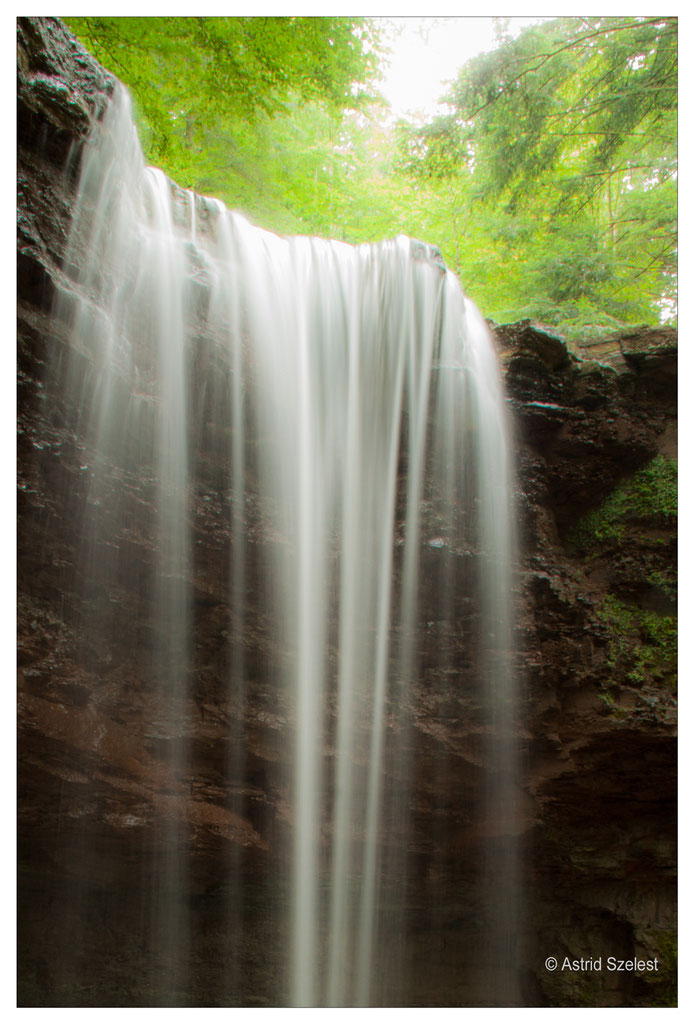 Wald und Wasser - szelest.info