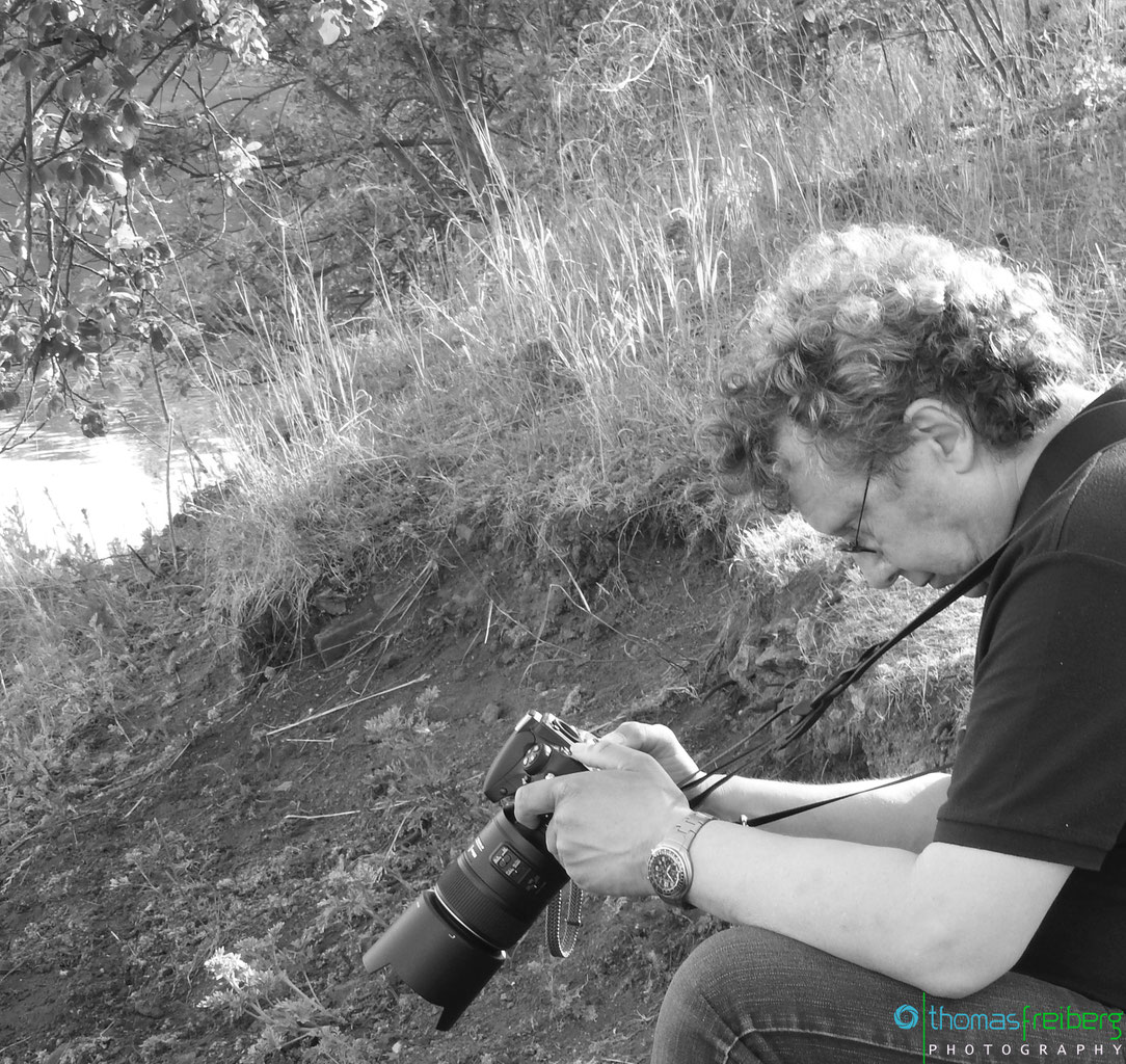 Licht&Schatten Thomas Freiberg Naturfotografie ...