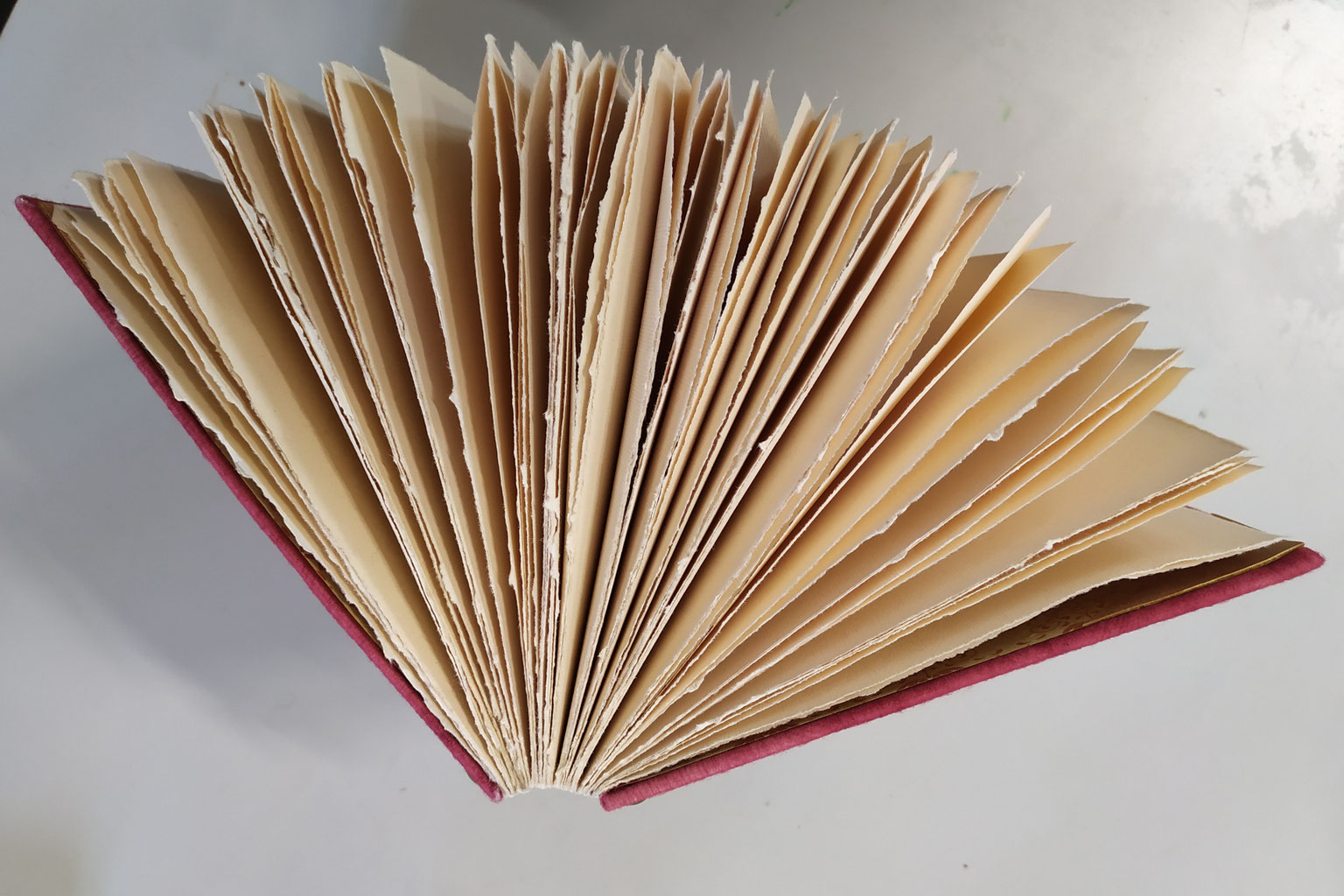 Collection des "pages vierges" - Site de carineperrotcarnets