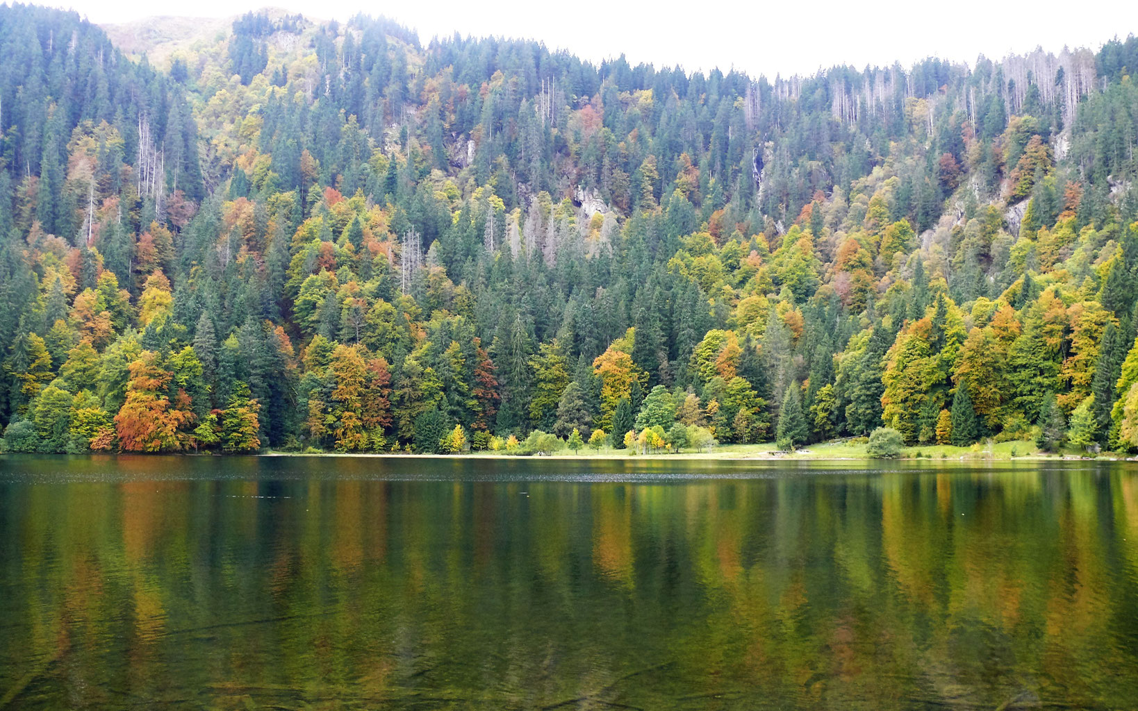 Nationalpark Kellerwald - Naturstammhäuser am Edersee