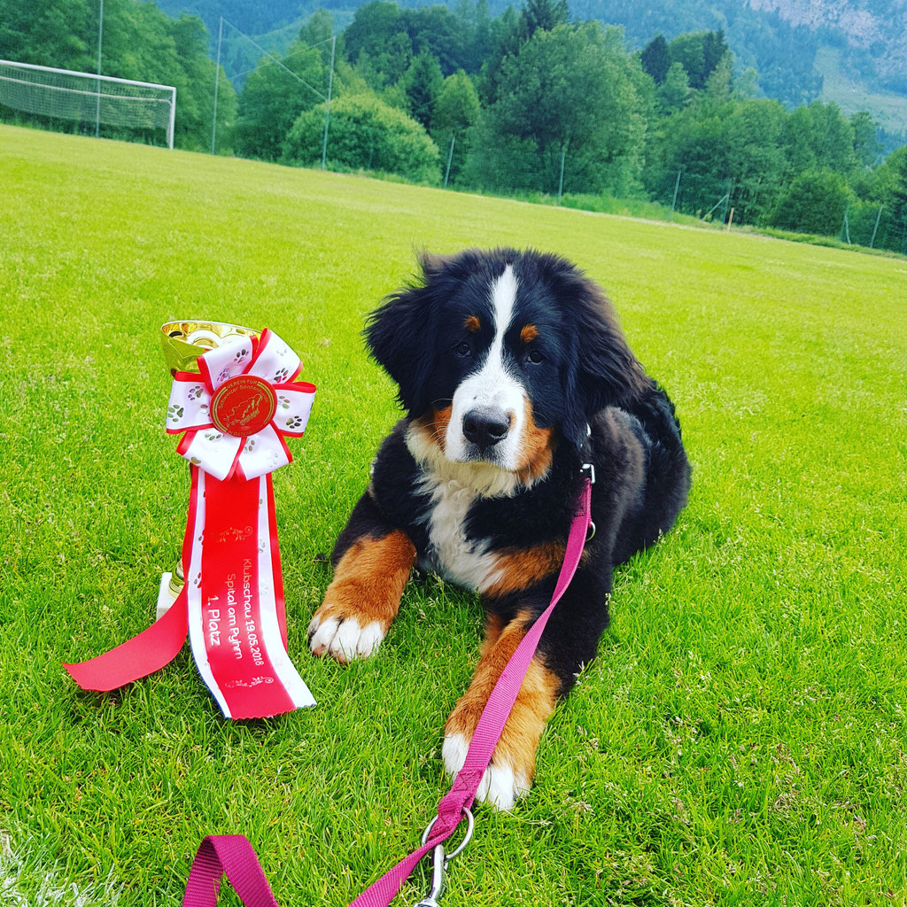 BELLA * 10.12.2017 - berner-von-rottenmanns Webseite!