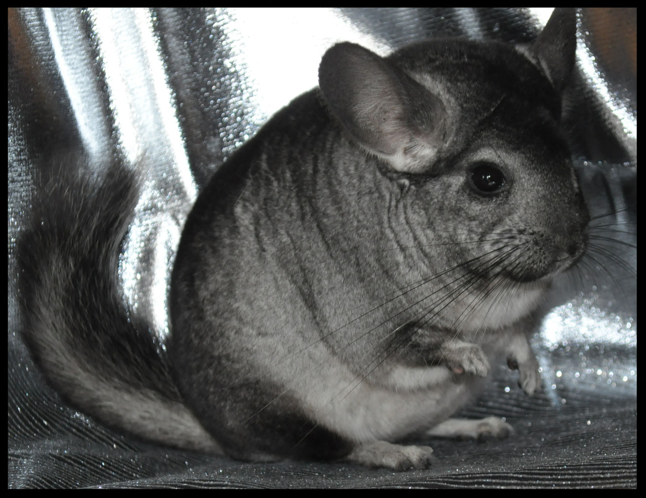 ardoise - Site de chincholla