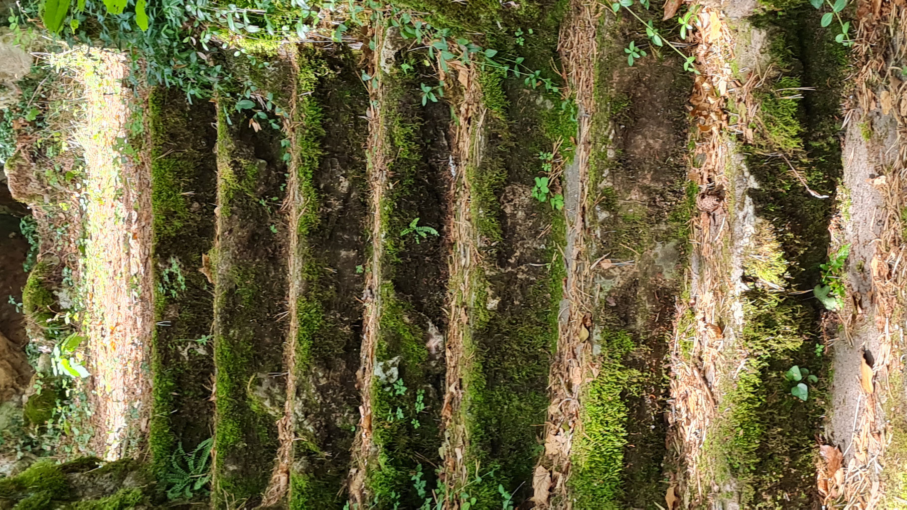 Der singende Knochen - Märchenpädagogin Angelika Schütte