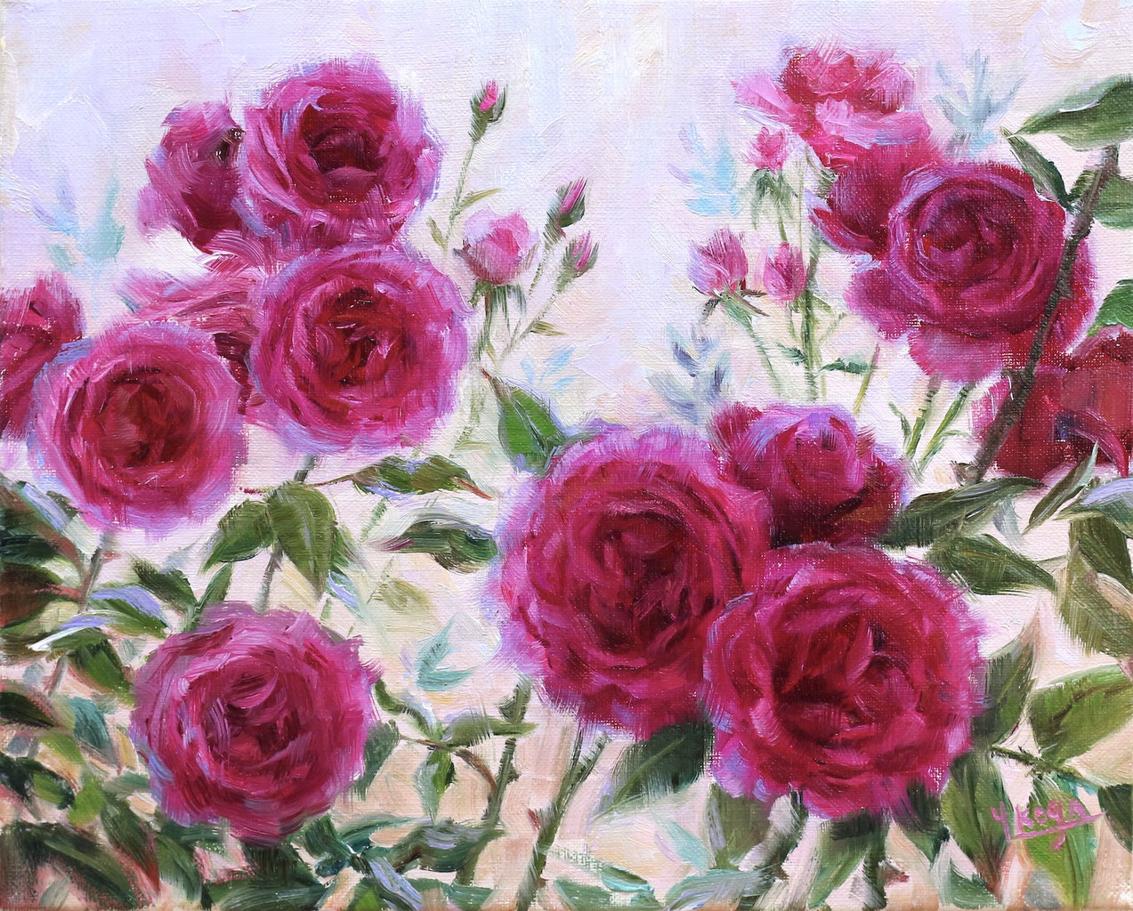 Plants and Animals - Yoko Koga Official Website