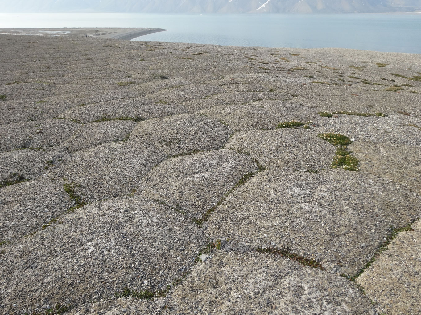 Quels sont les mécanismes de formation d'une doline ? - Wild World