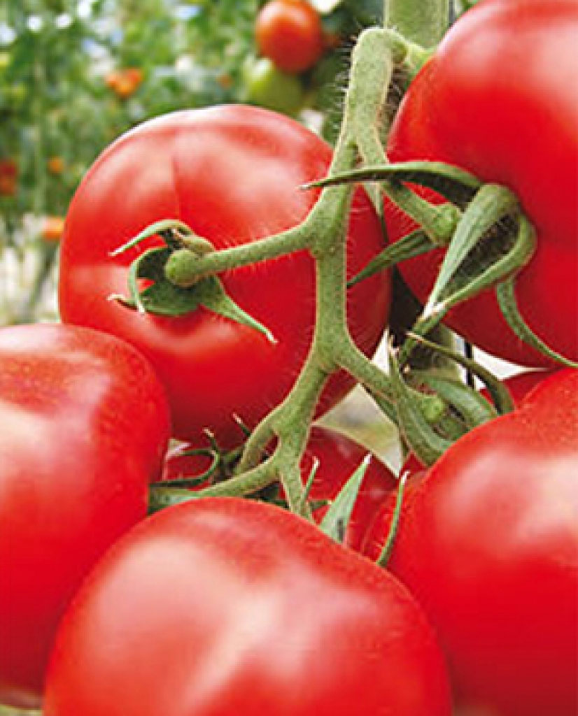 frutas - Página web de huascaranb