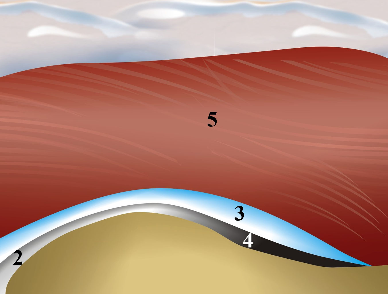 4.2. S/GHK - see-feel-treats Webseite!