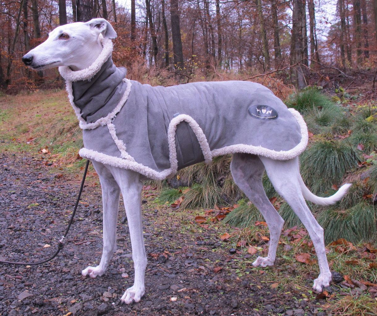 Prämie Radar Western hundemantel italienisches windspiel Galerie ...