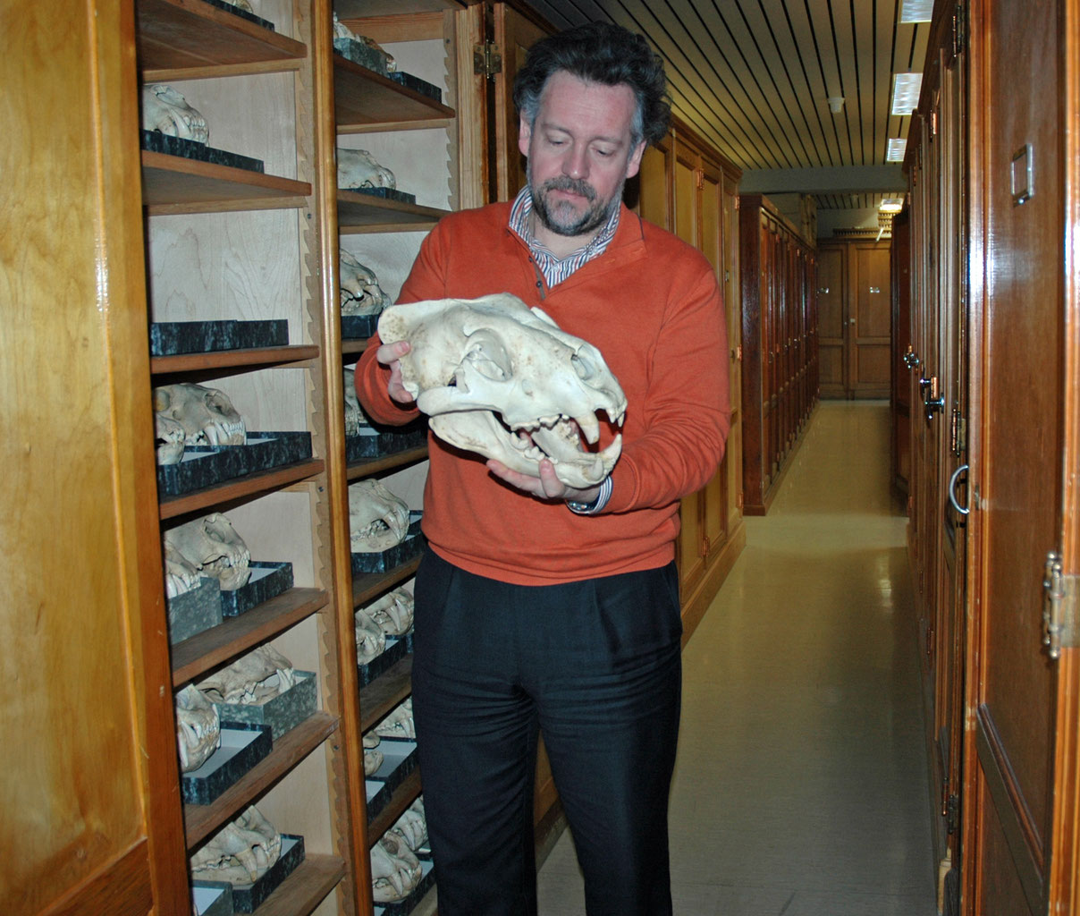 Emmanuel Gilissen - PaleoBRAIN, un projet ANR sur l'évolution du ...