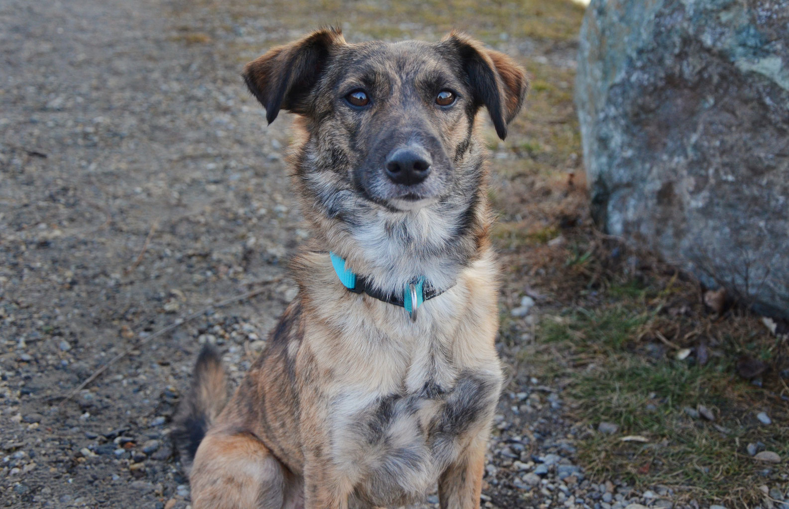 Abenteuer in Graz - hundingrazs Webseite!