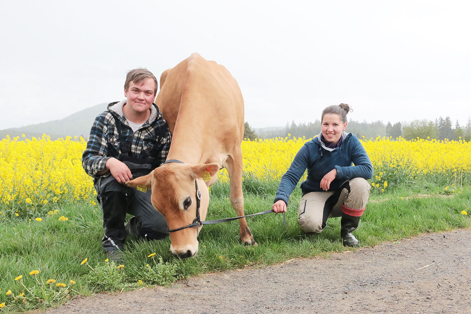 Ausbildung Landwirt/in und Tierwirt/in - Milchvieh- & Ackerbaubetrieb Klapp