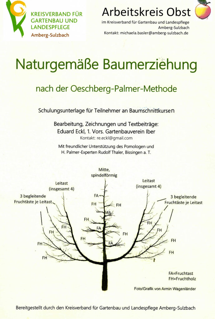 Oeschbergschnitt - OGV
