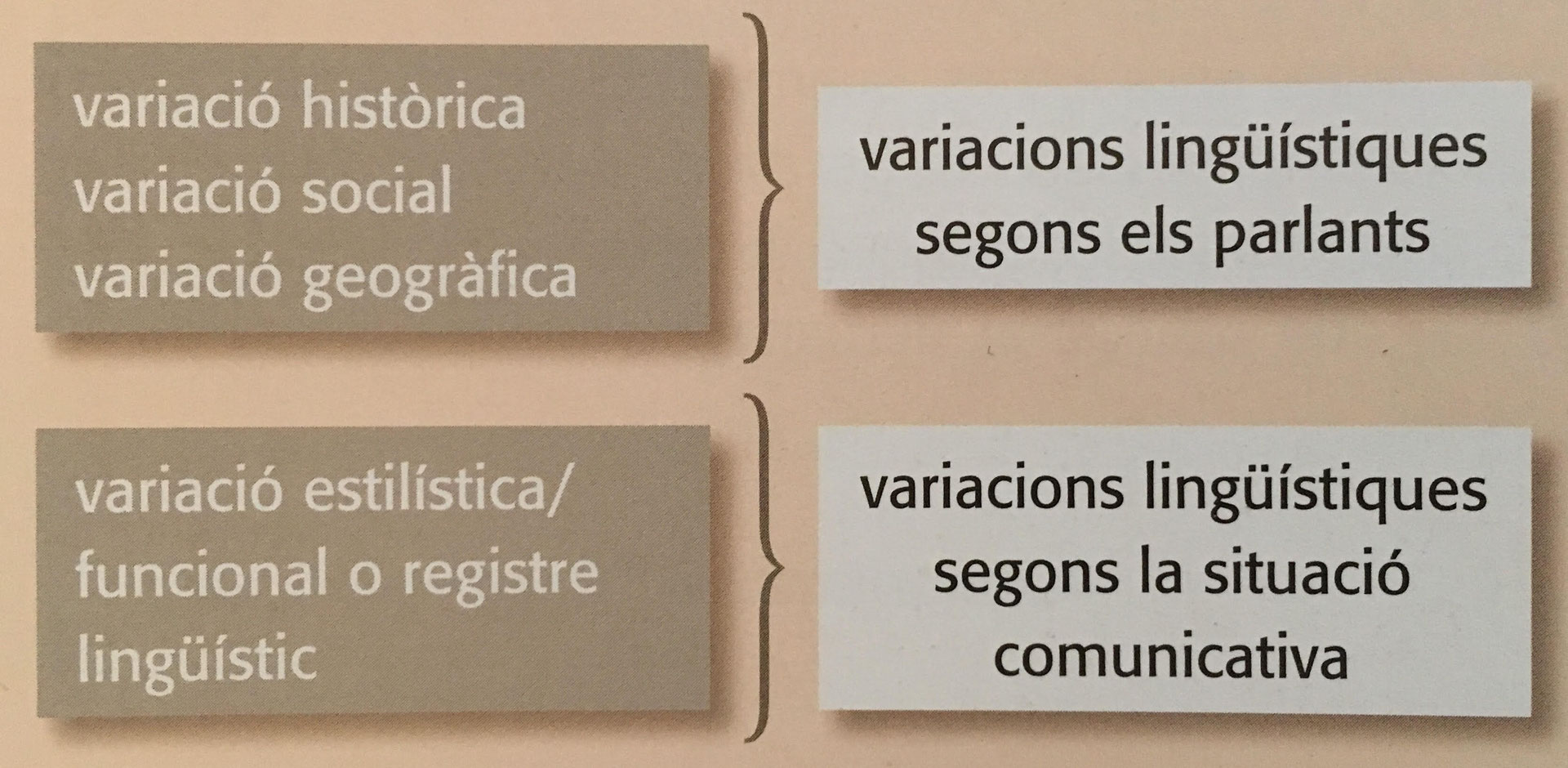 Llengua, variació i parla - Llengua catalana i literatura