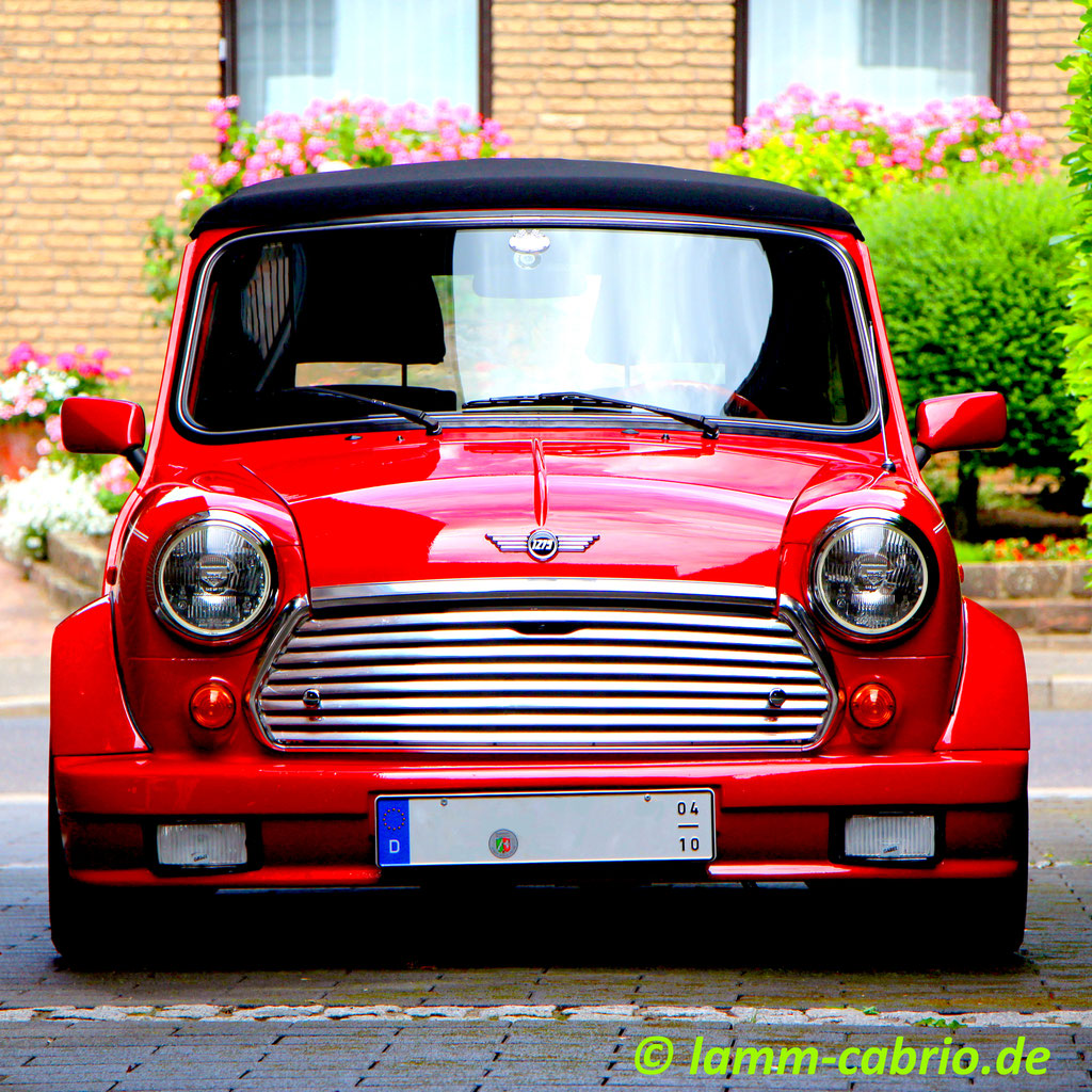 Mini - Lamm-Cabrio.de