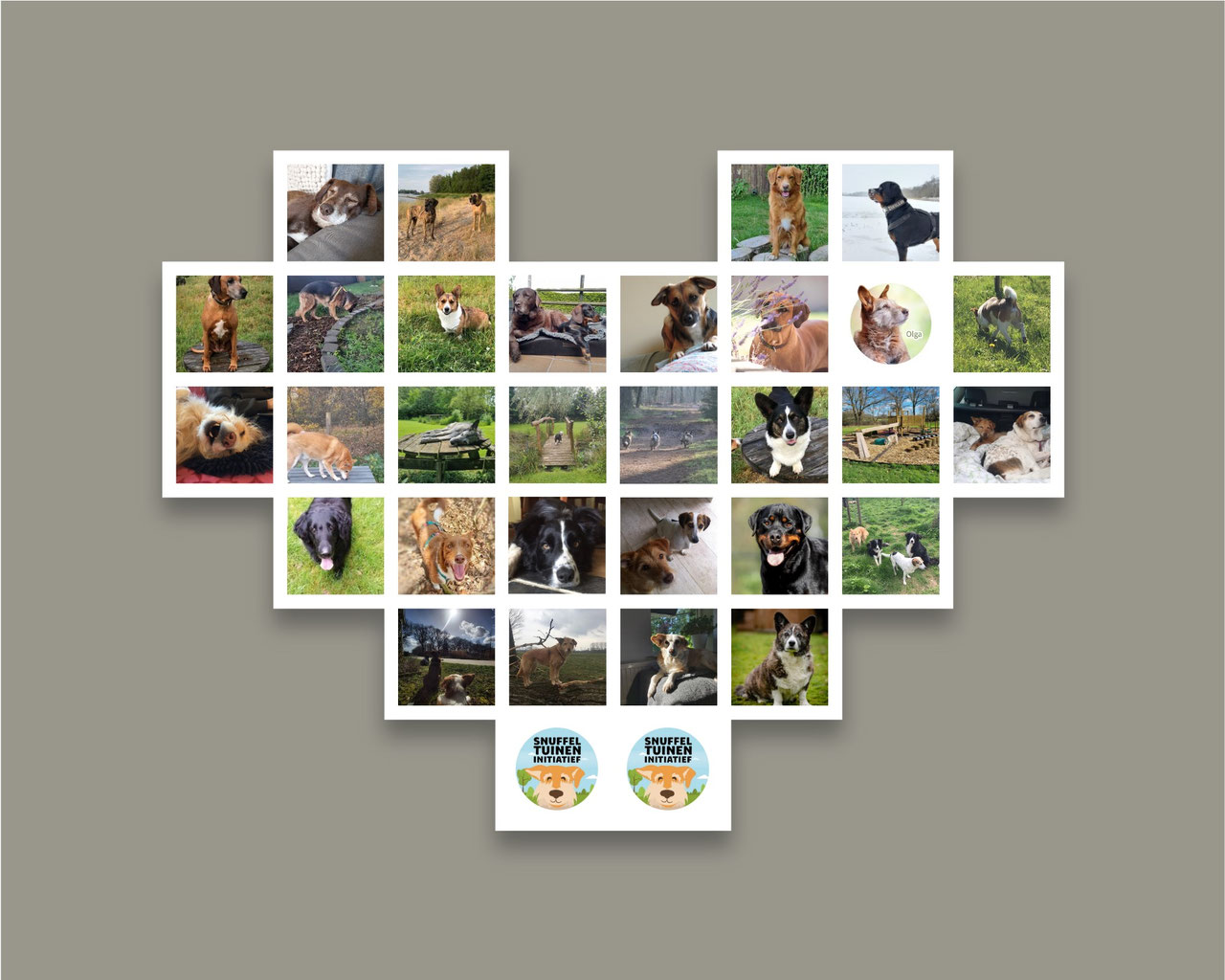 Snuffeltuin aanmelden - De website van snuffeltuinen!