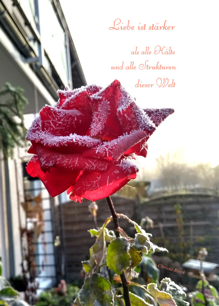 Christa Rieck - Christa Rieck