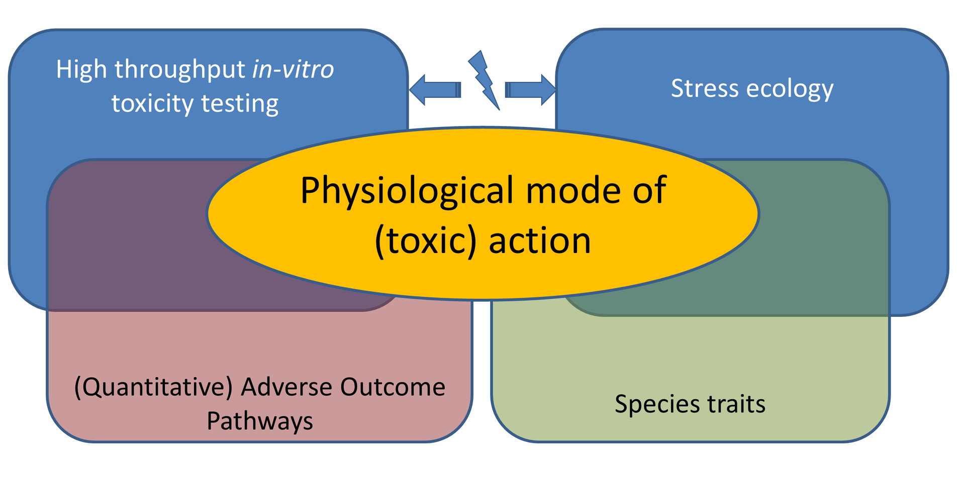 Models in ecotoxicology - Ecotoxicology and Models