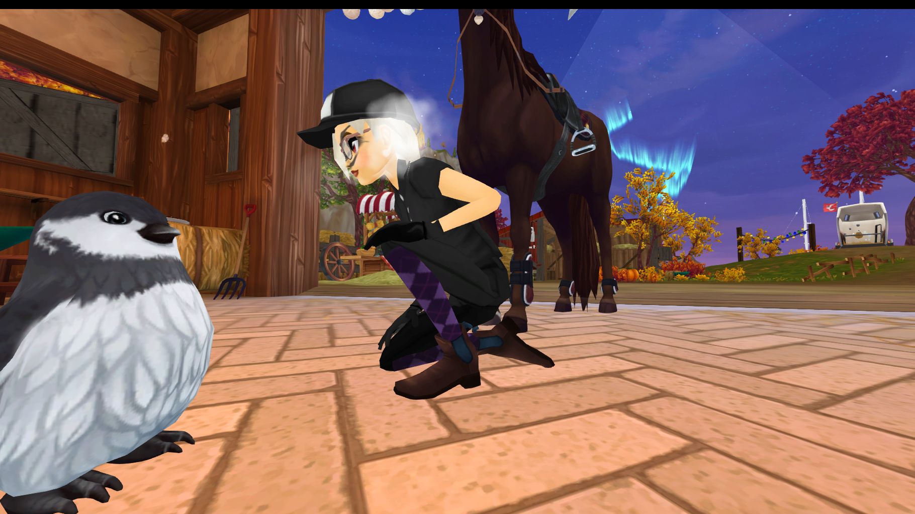 Star stable online turniere - sso-turniere-officials Webseite!
