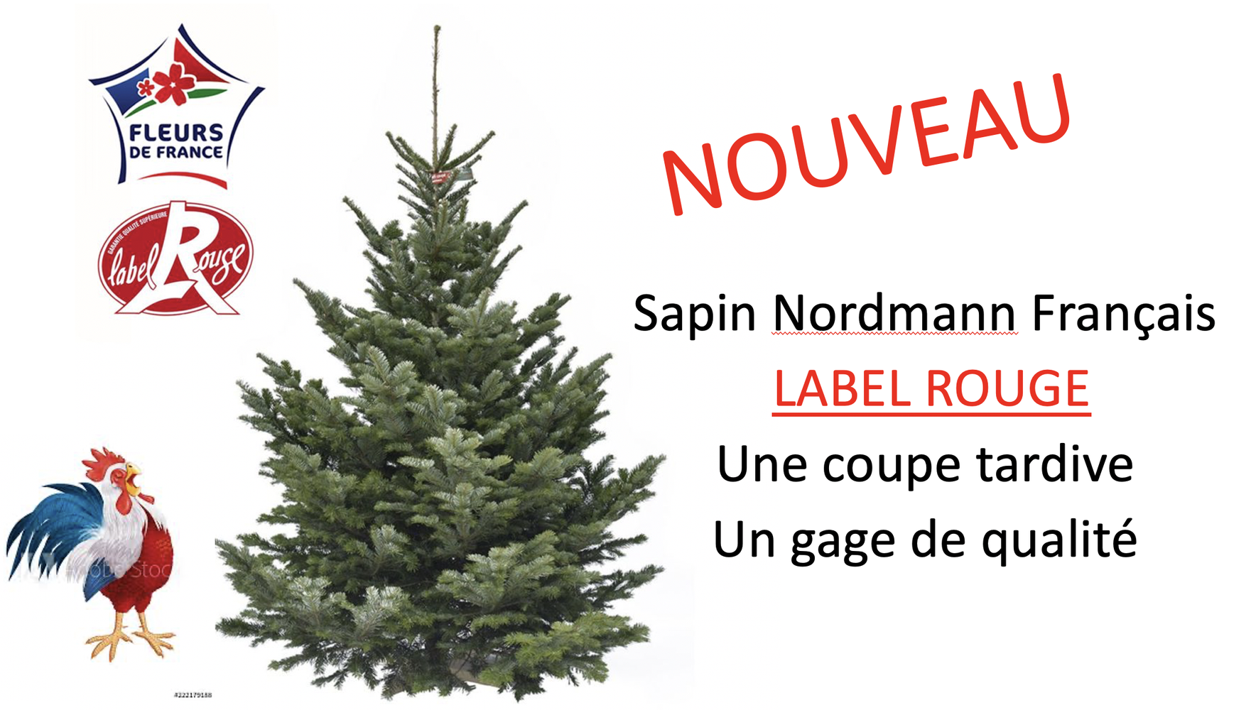 Du sapin LABEL ROUGE Au parfait jardinier - Site de auparfaitjardinier