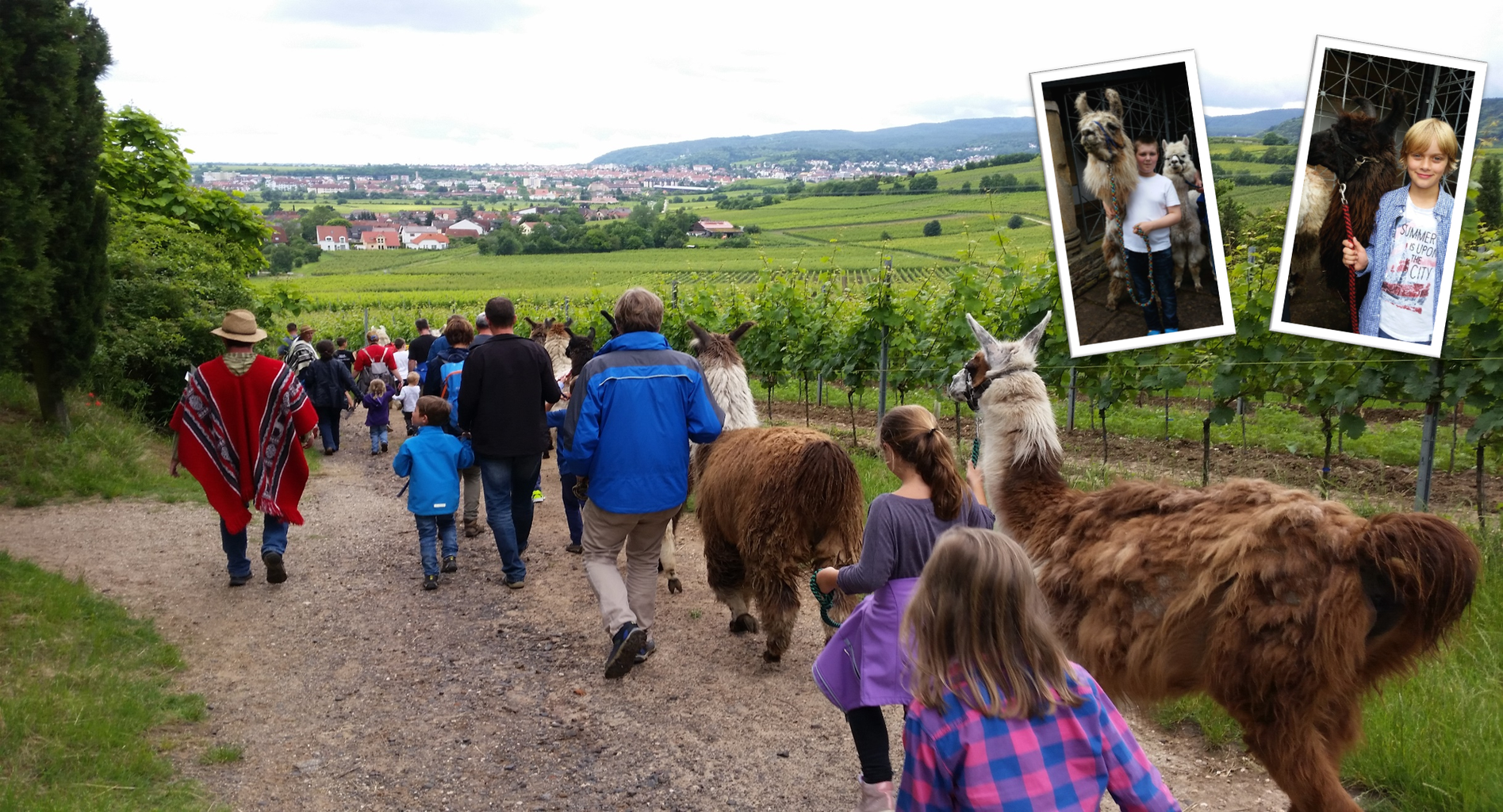 Autarke Versorgung von Lamas mit frischem Wasser - Autarke Versorgung ...