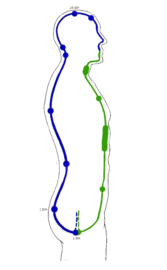 Xiao Zhoutian, der kleine Himmelskreislauf - Shaolin NeiGong