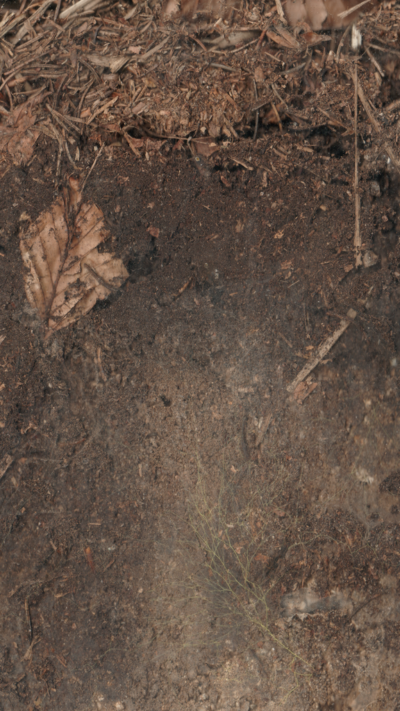 Minirhizotron Imaging Systems - Vienna Scientific Instruments