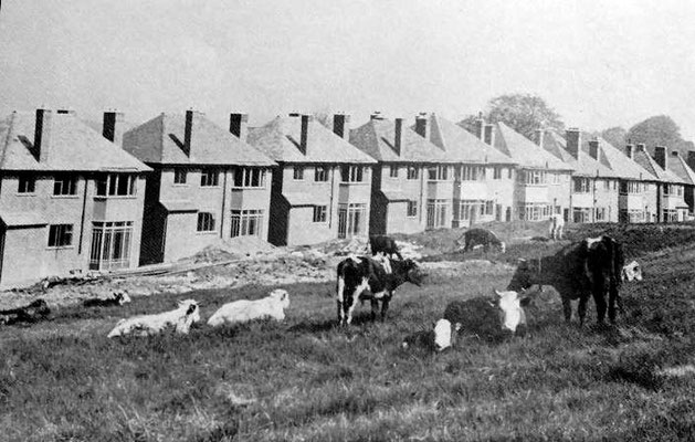 Weoley, Weoley Castle, Weoley Hill - History of Birmingham Places A to Y